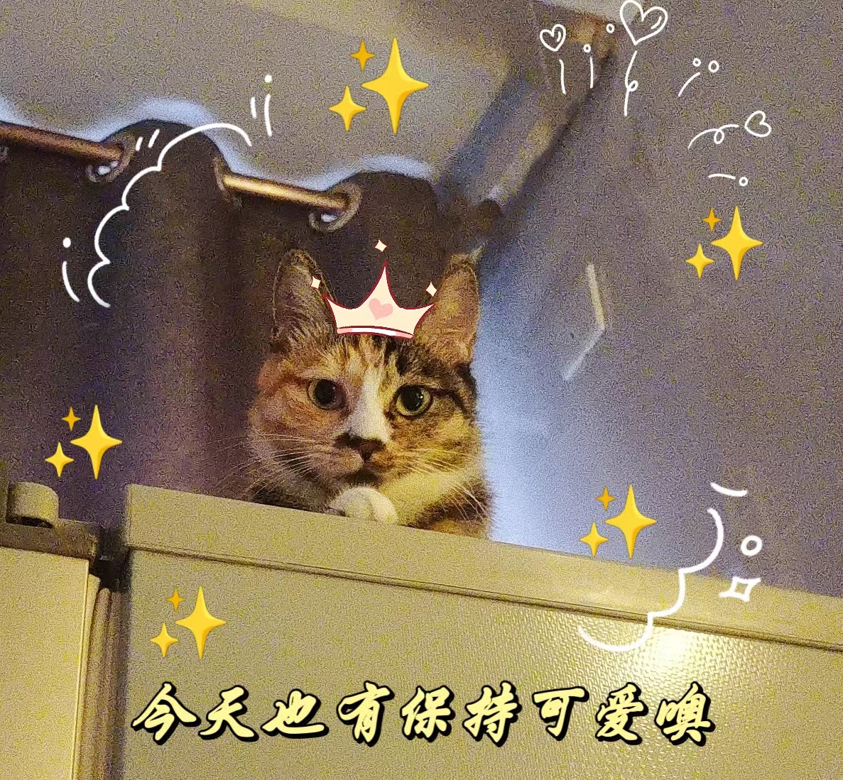 constant-extension - Visual Studio Marketplace